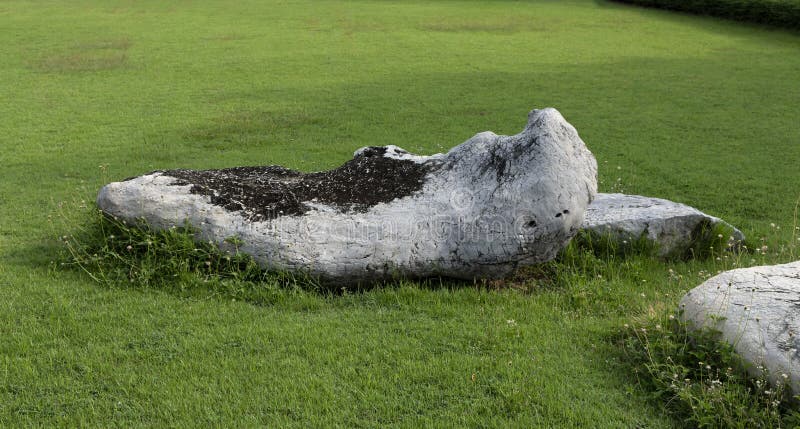 Decorate the Lawn with a Large White Stone Beautiful Stock Photo ...