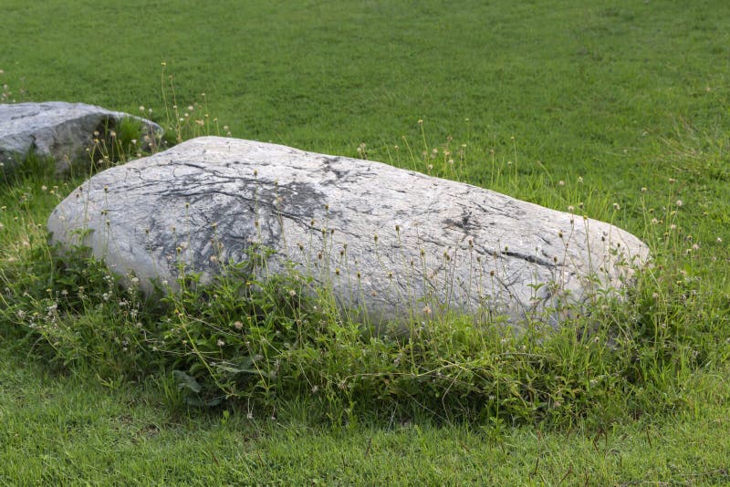 Decorate the Lawn with a Large White Stone Beautiful Stock Image ...