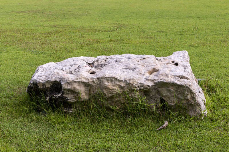 Decorate the Lawn with a Large White Stone Beautiful Stock Photo ...