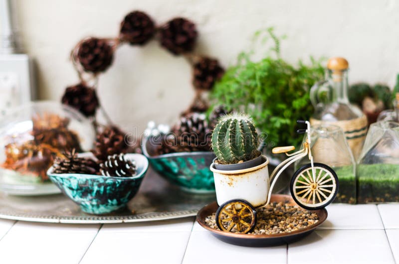 Decorate Table with Cactus in Celebration. Stock Photo - Image of ...