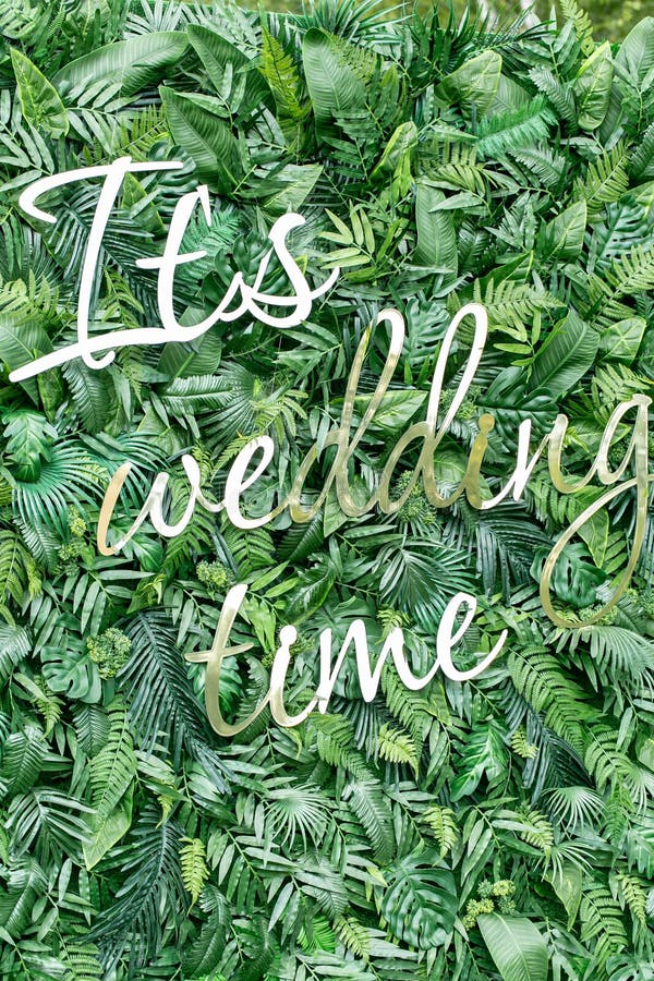 Decorate Wall Backdrop of Artificial Leaf and Shiny Letters. it is ...