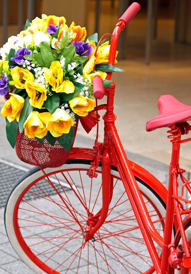 Blue Bicycle Flowers Garden Stock Image - Image of pink, spring: 36646627