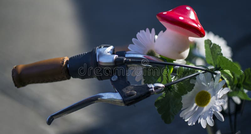 Decorated Bicycle Handlebar Stock Image - Image of petals, artificial ...