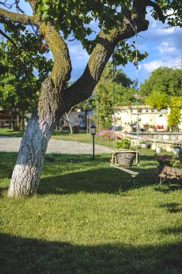 Decorated Broken Swing Under a Tree Against Blurry Background. Stock ...