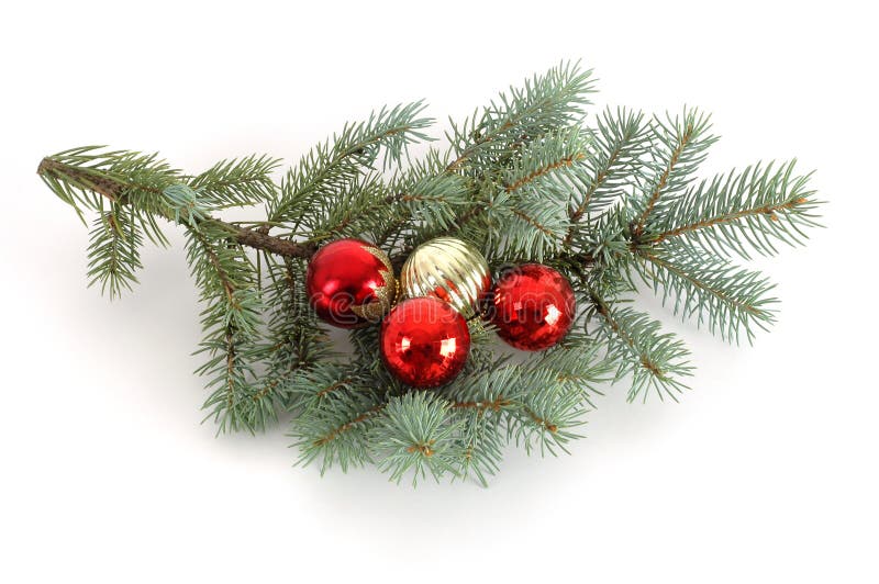 Decorated Christmas Bough stock photo. Image of christmas - 1338312