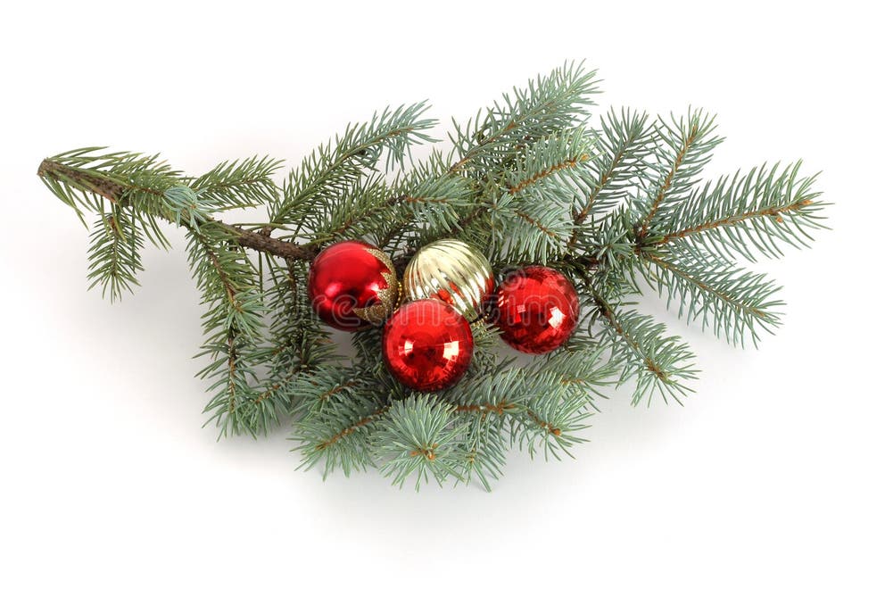 Decorated Christmas Bough stock photo. Image of christmas - 1338312