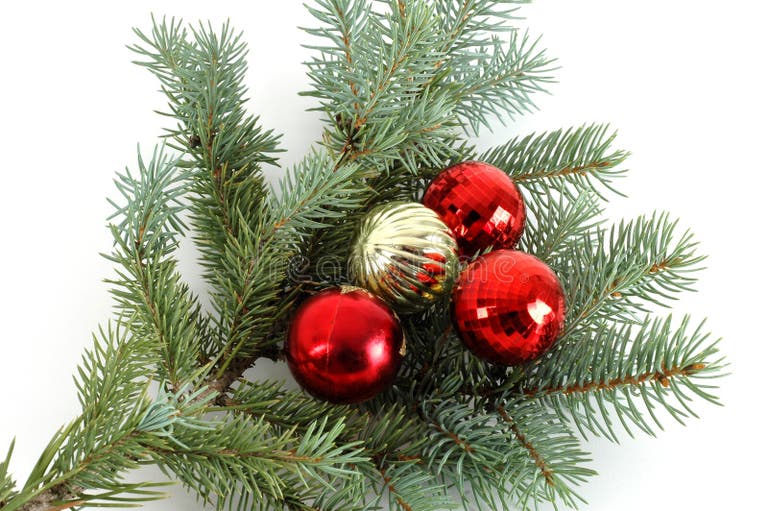 Decorated Christmas Bough #3 Stock Image - Image of yule, blue: 1338347