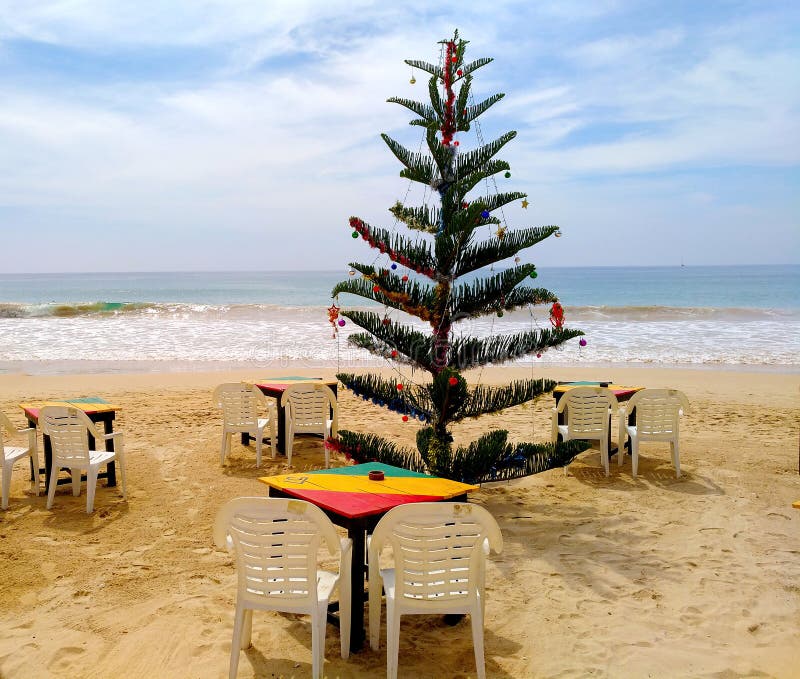 Decorated Christmas Tree in a Beach Cafe among the Sand Overlooking the ...