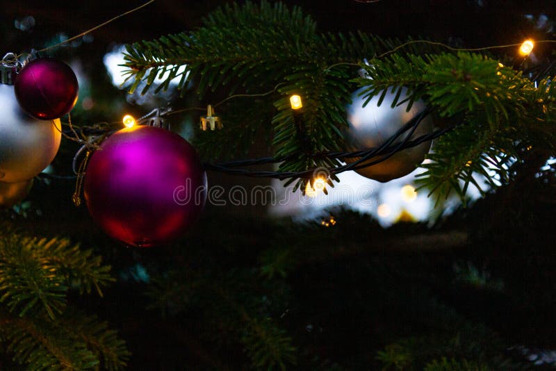 Decorated Christmas Tree Branches Stock Image - Image of outdoors ...