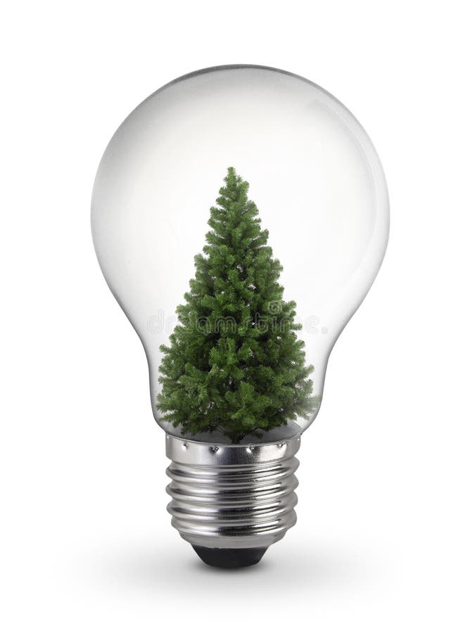 Decorated Christmas Tree Inside of Light Bulb on White Background ...