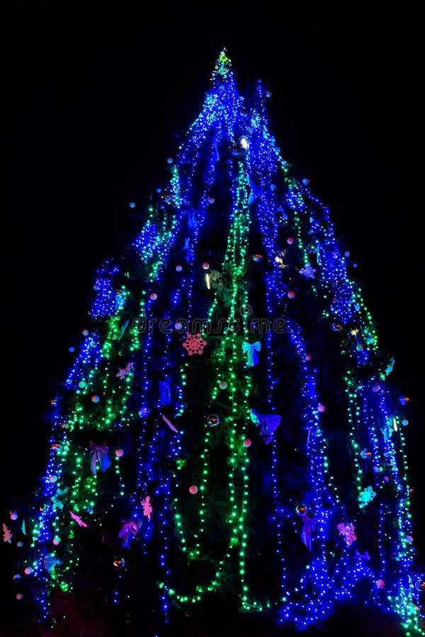 Decorated Christmas Tree with Multi-colored Lights at Night Stock Image ...