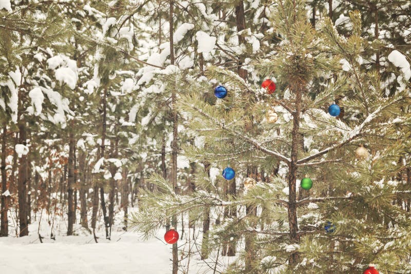 Decorated Christmas Tree in a Snowy Pine Forest with Retro Effect Stock ...