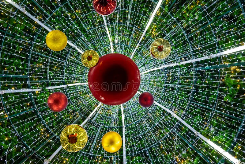 Decorated christmas trees stock photo. Image of decorated - 63554164