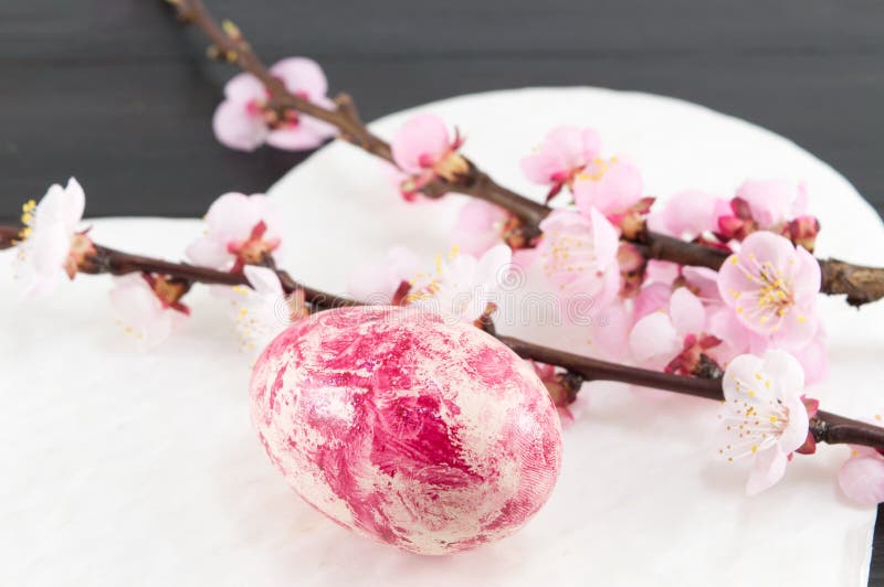 Decorated Easter Eggs and Cherry Blossom Tree Stock Photo - Image of ...