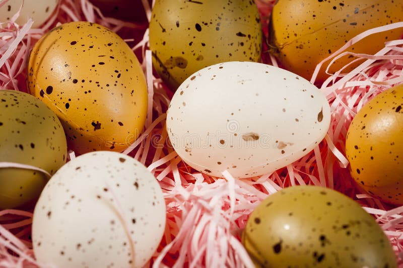 Decorated Eggs in Pink Hay - Symbols of Easter Stock Photo - Image of ...
