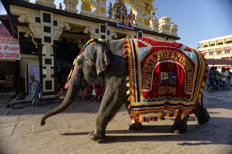 Decorated Elephant in Religious Procession in Front of Krishna Temple ...