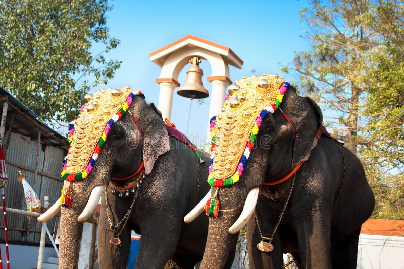 2,028 Decorated Indian Elephant Stock Photos - Free & Royalty-Free ...