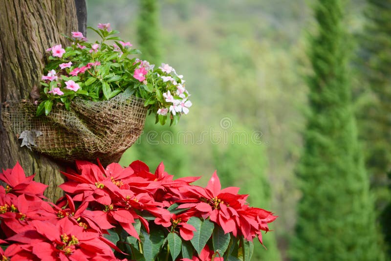 Decorated flower stock image. Image of culture, beautiful - 49586561