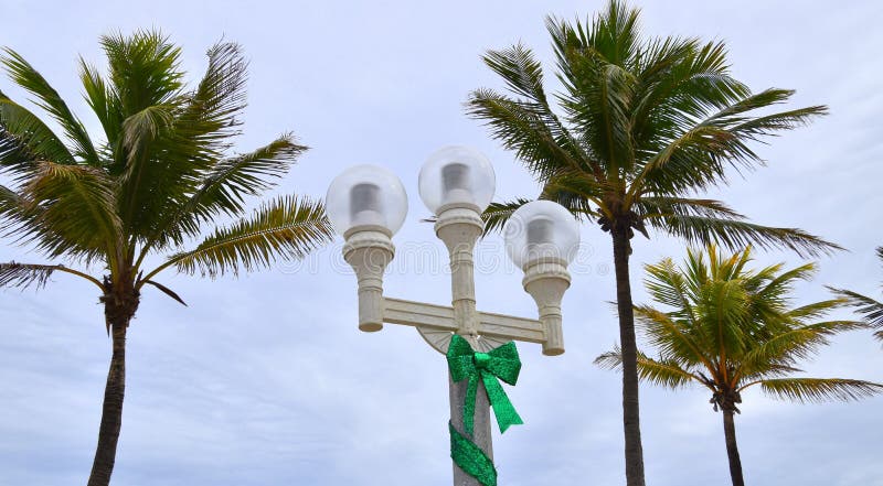 Decorated Light Pole and Palm Trees Stock Photo - Image of objects ...