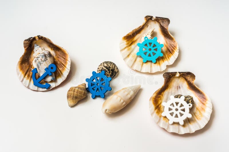 Decorated Sea Shells with Marine Wheel and Anchor Stock Image - Image ...