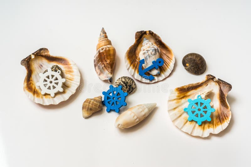 Decorated Sea Shells with Marine Wheel and Anchor Stock Photo - Image ...
