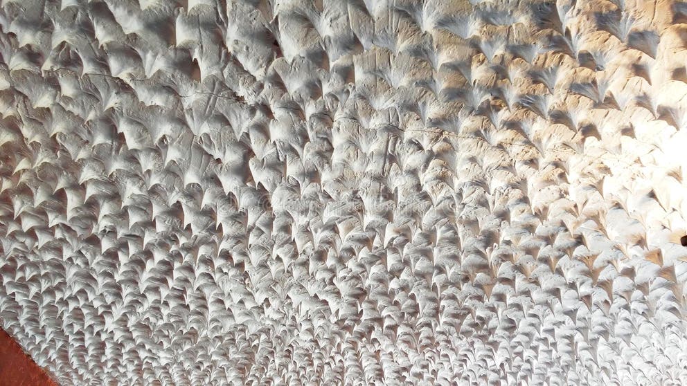 Decorated Stipple Plaster Ceiling. Jerome, Arizona. Stock Photo - Image ...