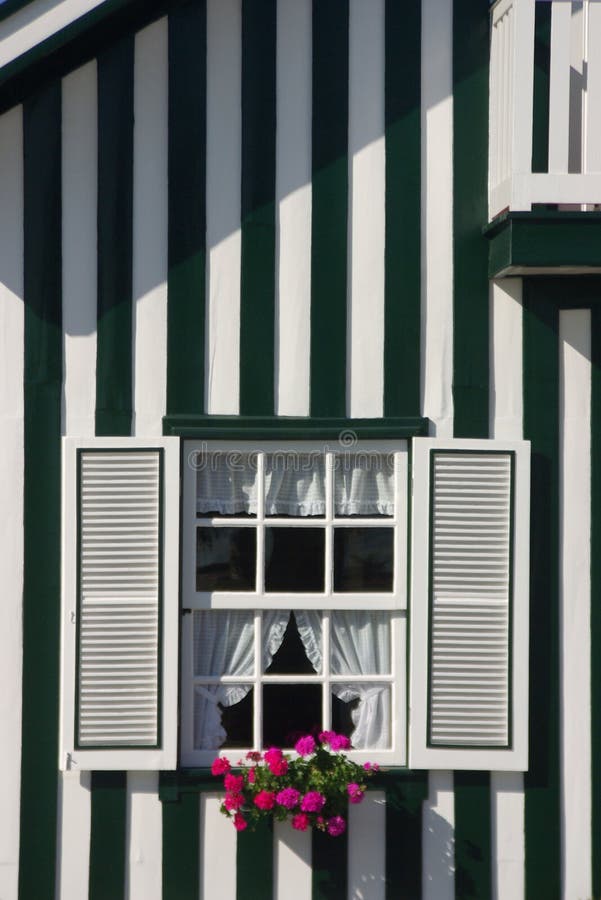 Decorated window stock image. Image of white, vertical - 29446335