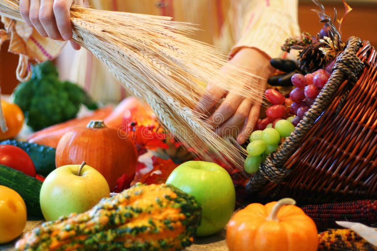 Decorating cornucopia stock photo. Image of festival, fruits - 3389626