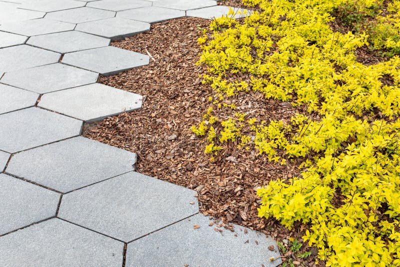 44+ Bark edge Free Stock Photos - StockFreeImages