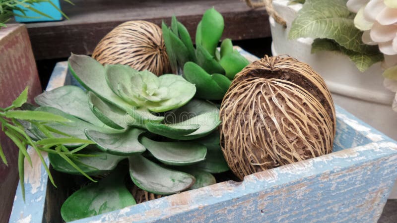 Decorating Garden Basket Design Stock Photo - Image of fruit, design ...