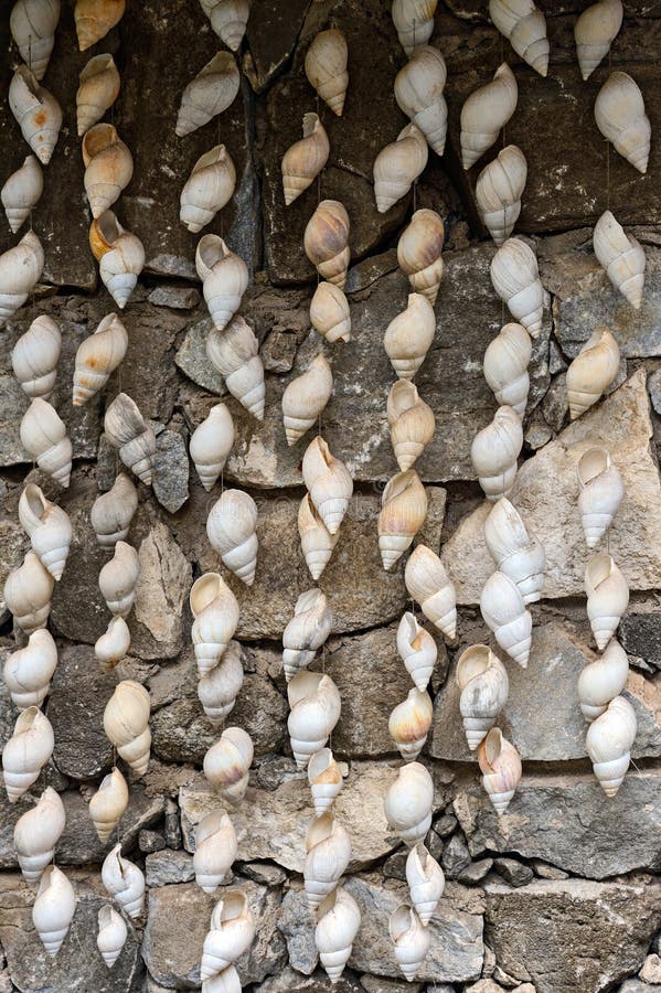 Decorating with Seashells Ocean Stock Photo - Image of ethnicity, kenya ...