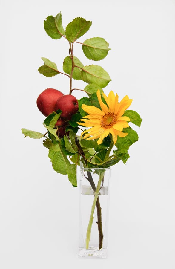 Decoration with Apples and Sunflower Stock Image - Image of autumn ...