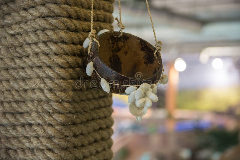 Decoration cap with shells stock photo. Image of summer - 102986766