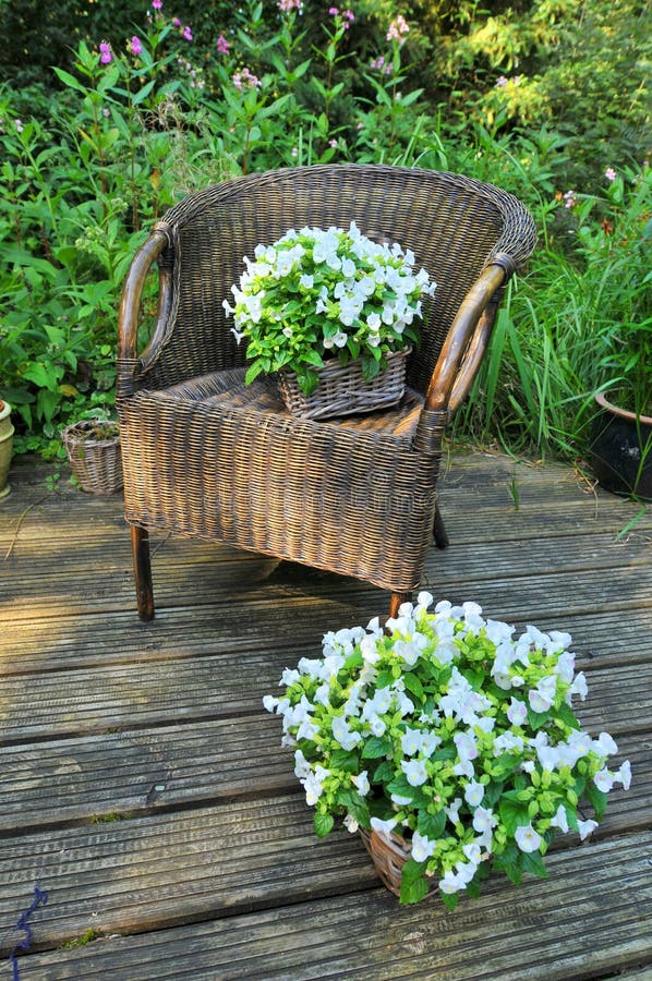 Home landscaping stock photo. Image of grass, garde, green - 4147752