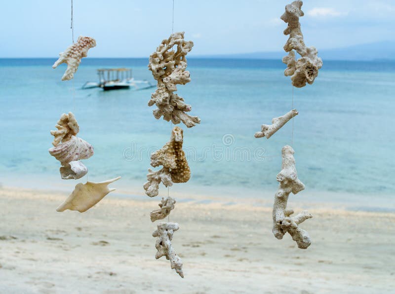 The decoration of coral stock photo. Image of unique - 47684980