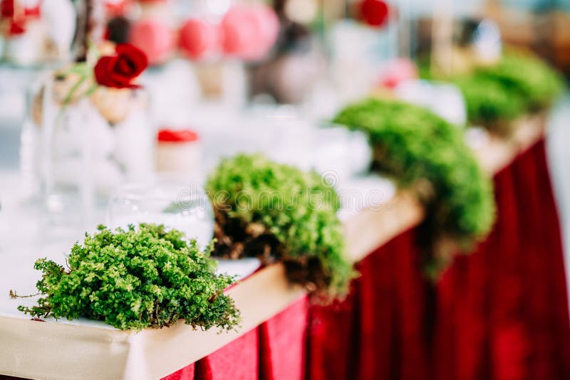 Decoration Decorative Grass in Candy Bar on Table. Wedding Decor Stock ...