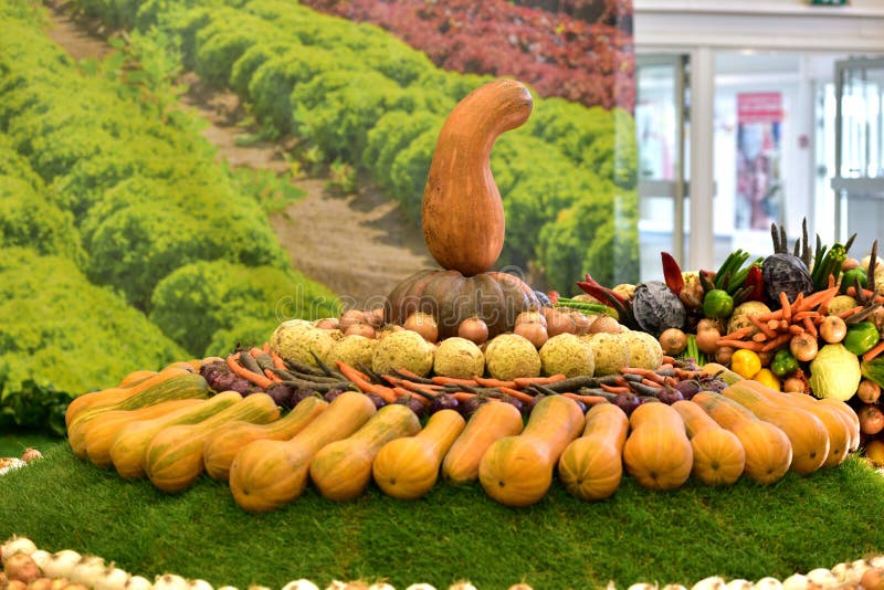 Decoration with Different Types of Vegetables Stock Photo - Image of ...