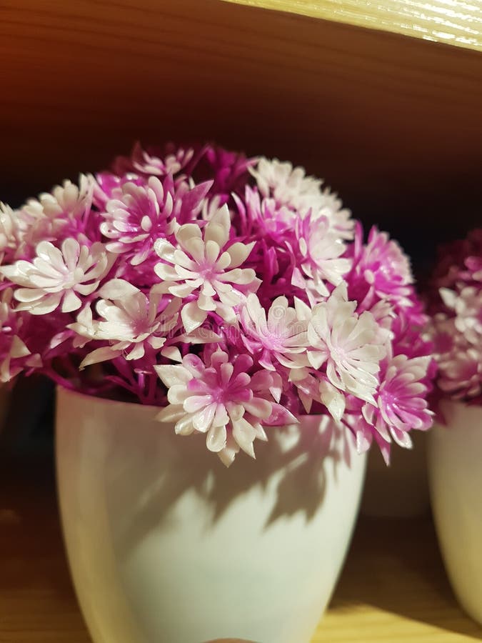 Decoration Florist Flowers Inside the Room Stock Photo - Image of ...