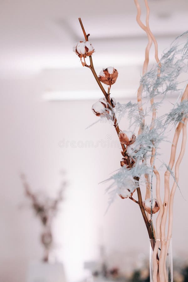 Decoration with Fluffy Flowers on the Table in Winter Style at the ...