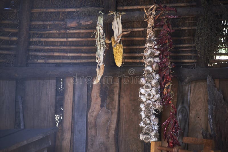 Mapuche hut stock image. Image of house, traditional - 37888039