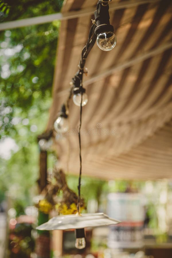 Yellow Flowers Hanging Upside Down String Stock Photos - Free & Royalty ...