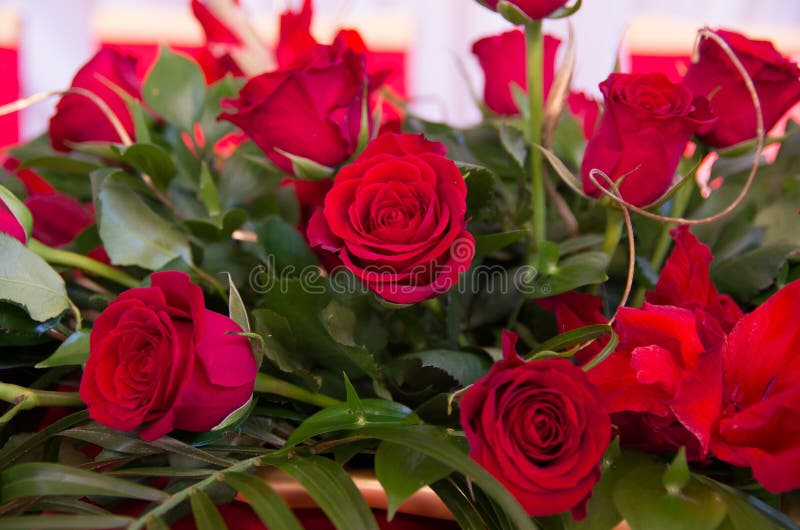 Decoration with Red Roses and Lily. Stock Photo - Image of celebration ...