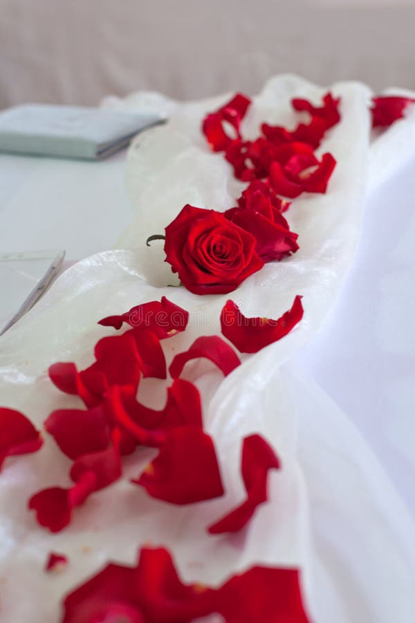 Decoration of Red Roses Petals for a Wedding Stock Photo - Image of ...
