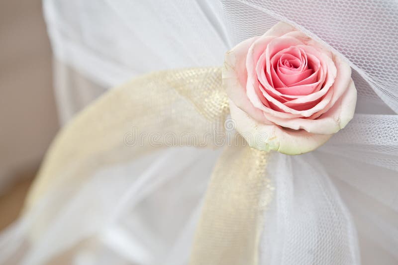 Decoration with rose stock photo. Image of ornate, indoor - 10473976