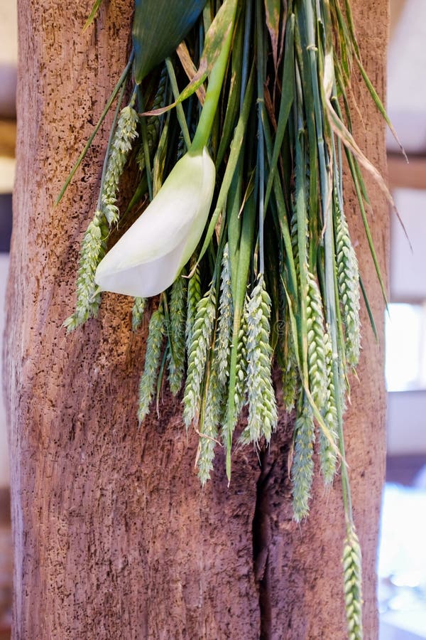 Topless Bikini Car Wash Stock Photos - Free & Royalty-Free Stock Photos ...