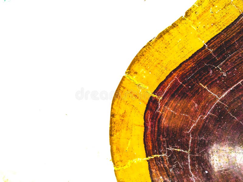 Decoration stock photo. Image of wood, house, decoration - 91908038