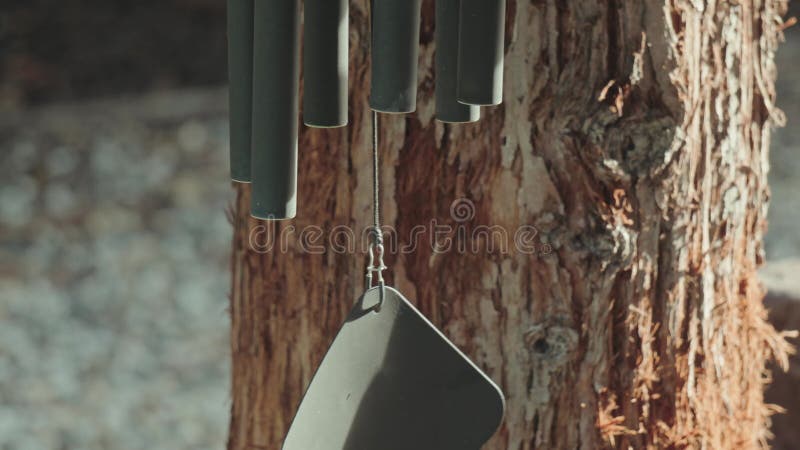 Wind Chimes Hanging on a Redwood Tree Stock Video - Video of harmony ...