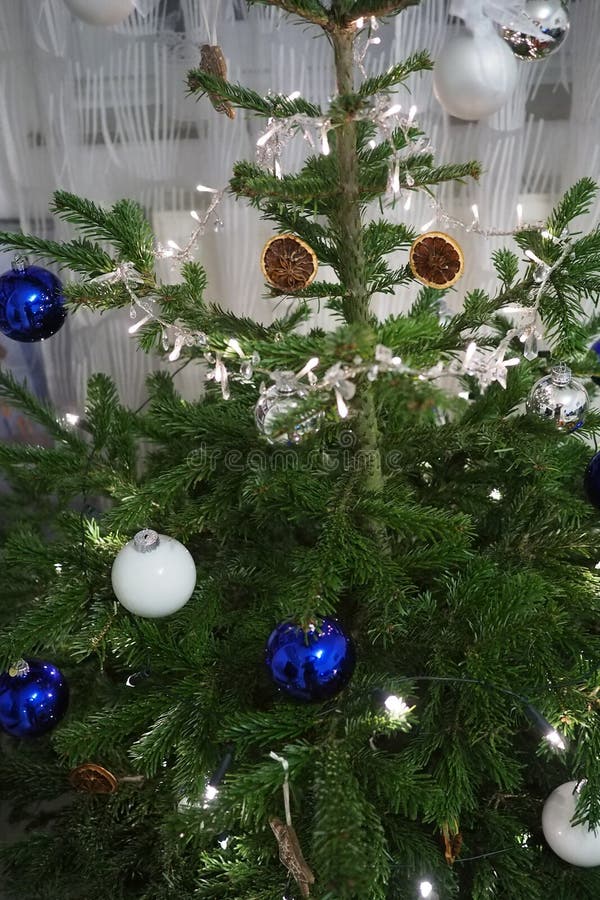 Decorations and Lights on a Fir Tree during Christmas Stock Image ...