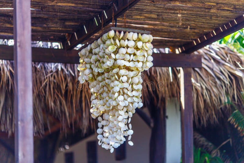 Decorations Made from Sea Shells Stock Photo - Image of beauty, decor ...