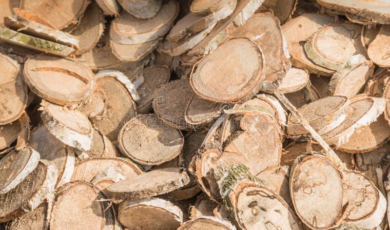 Decorations and Material for Decorations of Dried Natural Materials ...